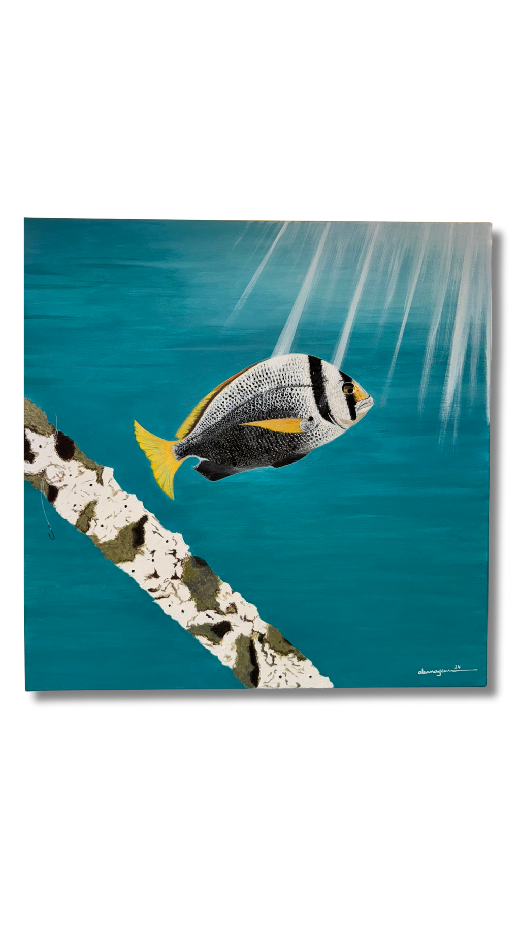 أرياق – roa.studio